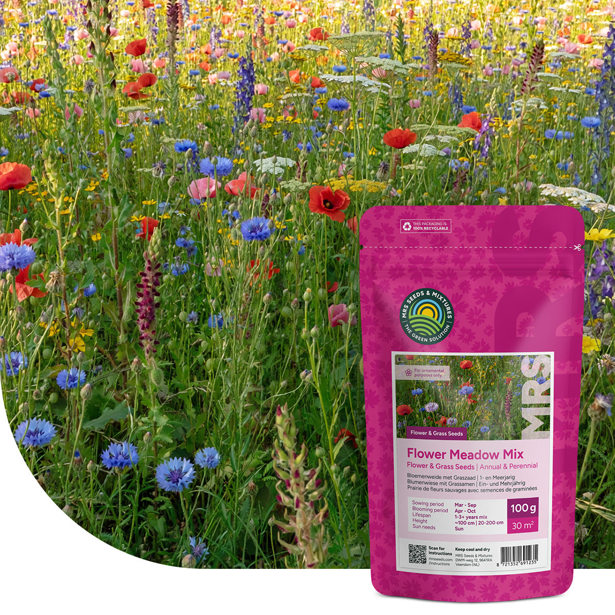 Prairie de fleurs sauvages avec semences de graminées – Mulder Retail