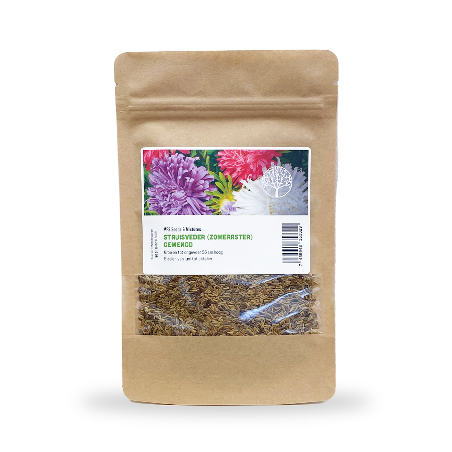 Plume d'autruche (Aster d'été) - mixte | MRS Seeds – Mulder Retail