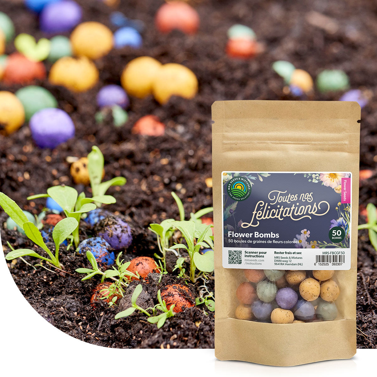 Flower Bombs - Bombes de graines mix - Félicitations ! – Mulder Retail B.V.